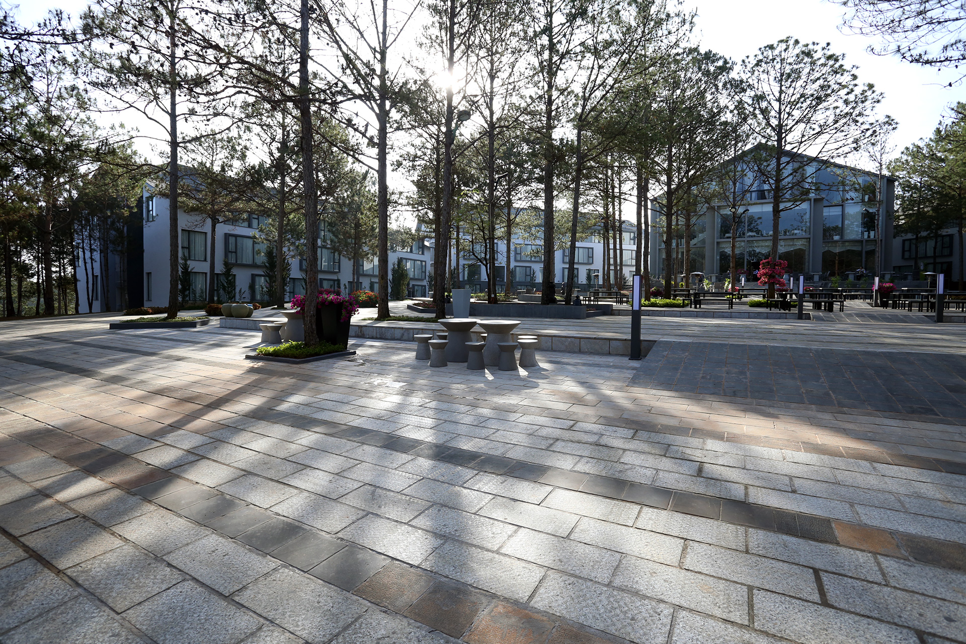 Terrace Square Montagne